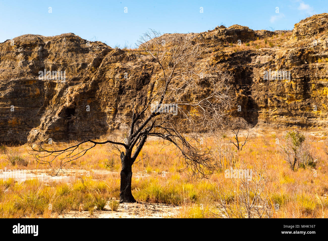 Nature and the rock formations in Madagascar, Africa Stock Photo - Alamy