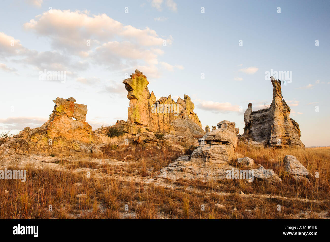 Wierd rock on the sunset in Madagascar Stock Photo - Alamy