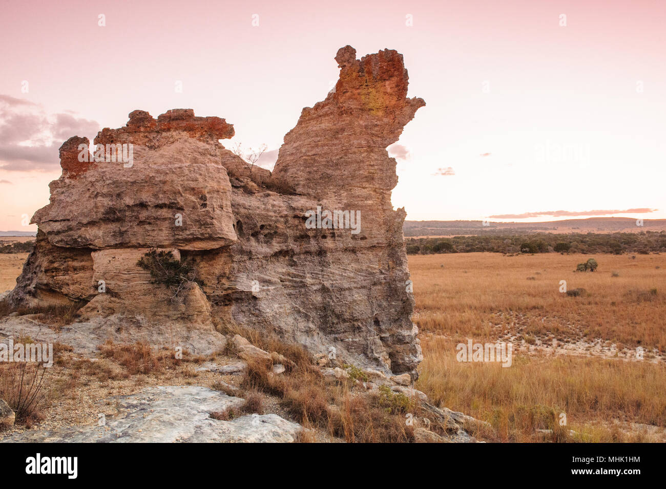 Madagascar desert red hi-res stock photography and images - Alamy