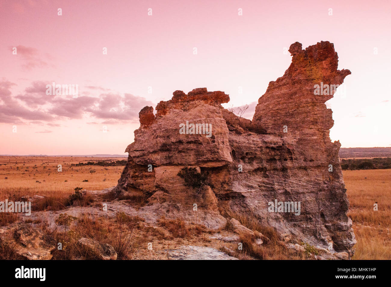 Madagascar desert red hi-res stock photography and images - Alamy