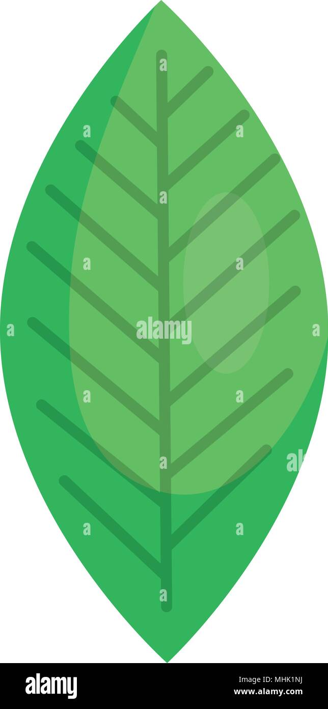leaf single decorative icon Stock Vector Image & Art - Alamy