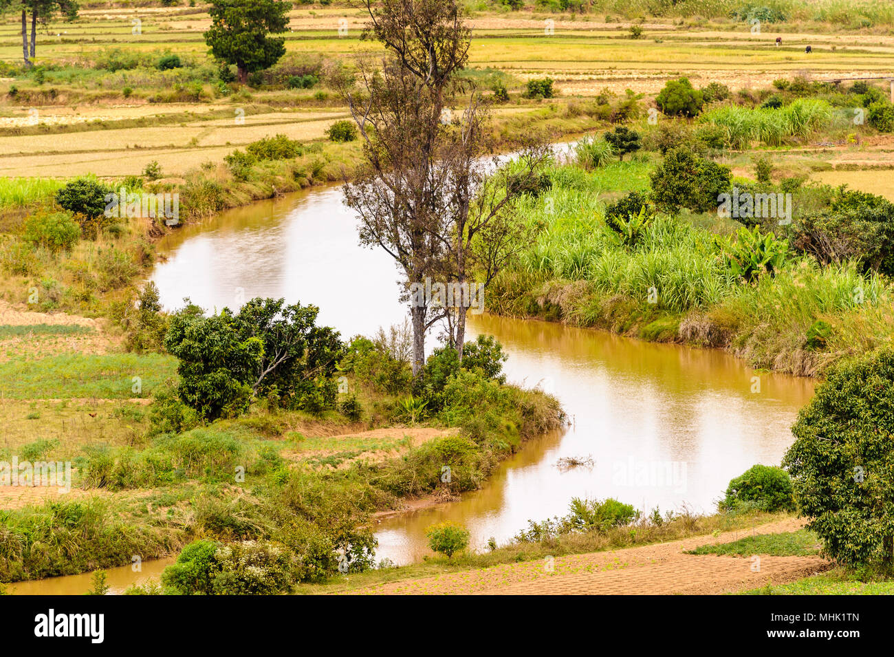 Small river in Madagascar Stock Photo - Alamy