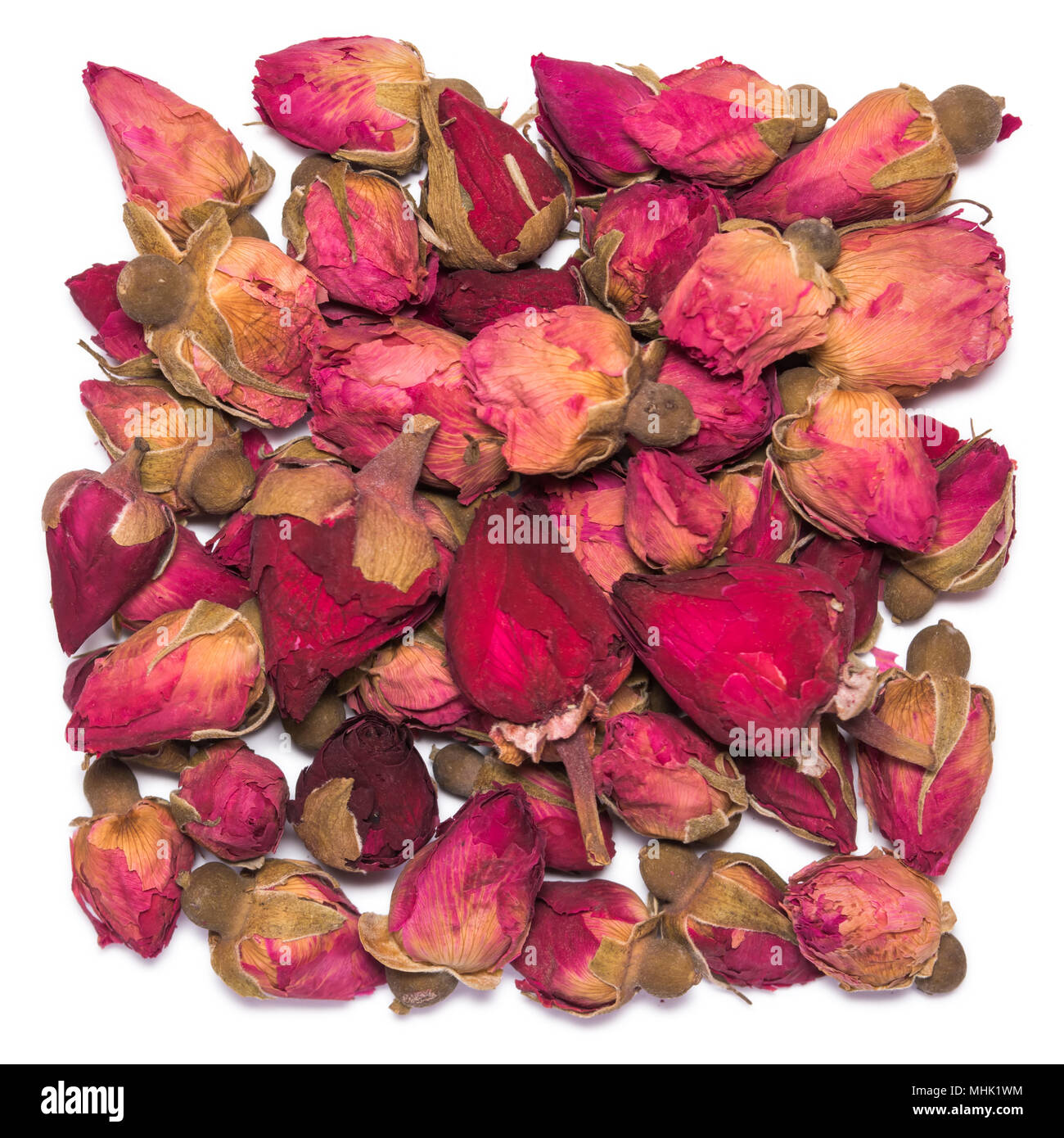Tea roses red Cut Out Stock Images & Pictures - Alamy