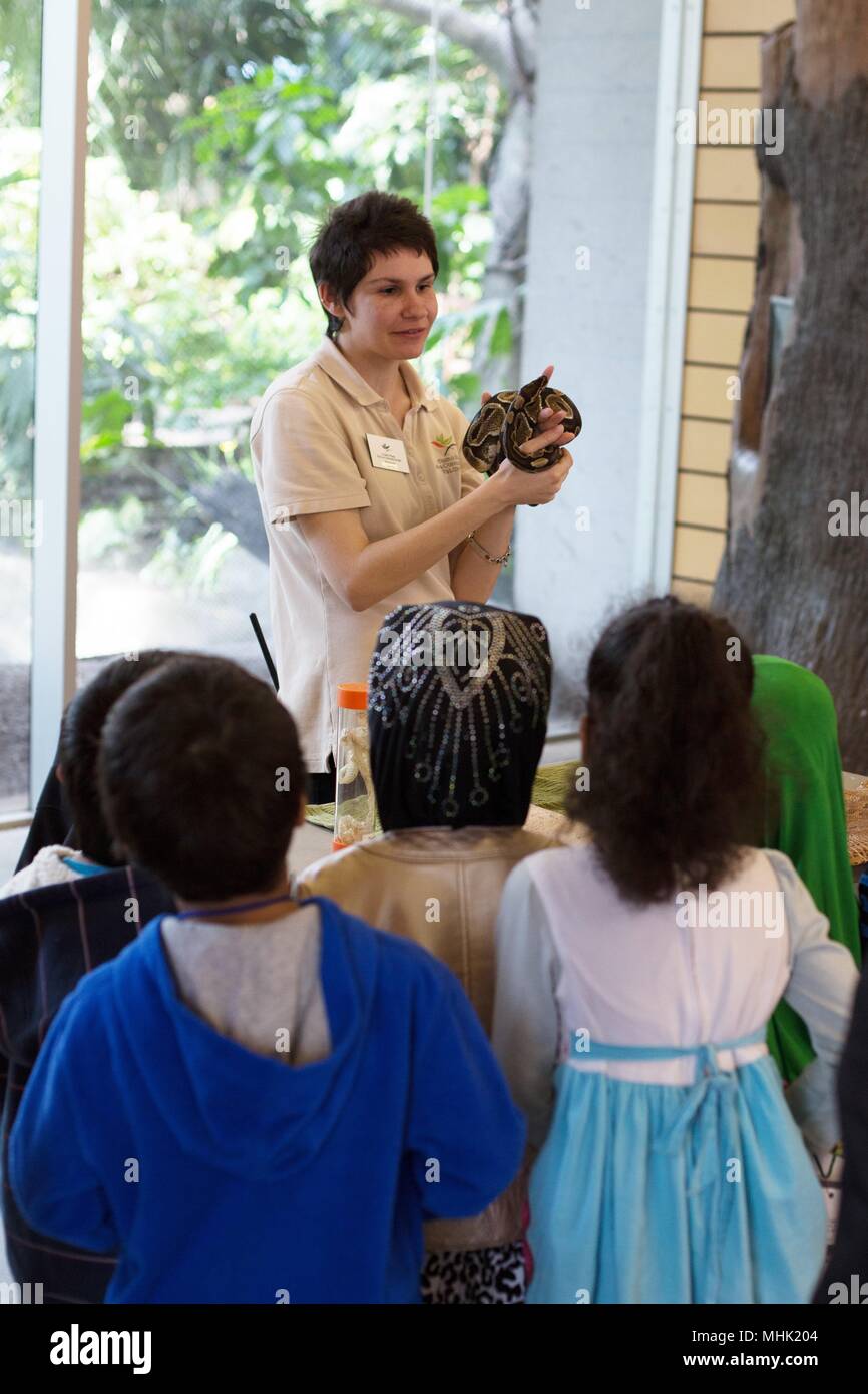 Zookeeper, snake, children hi-res stock photography and images - Alamy