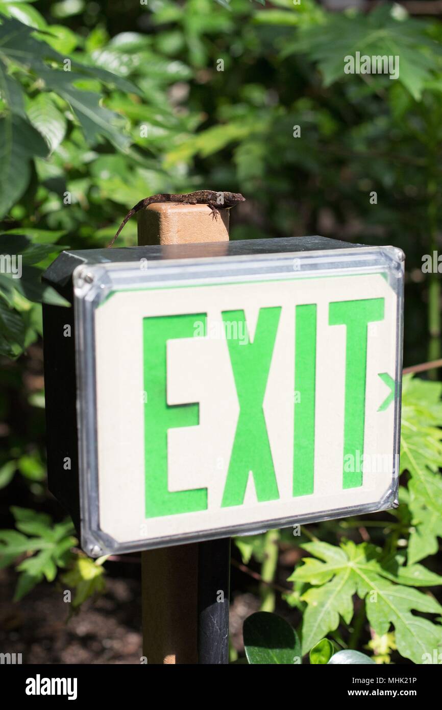 Small exit hi-res stock photography and images - Alamy