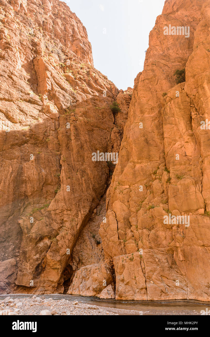 Todgha Gorge, a canyon in the High Atlas Mountains in Morocco, near the ...