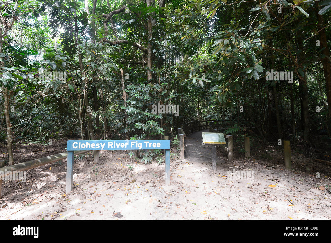 Entrance to the Clohesy River Fig Tree walking trail and boardwalk ...