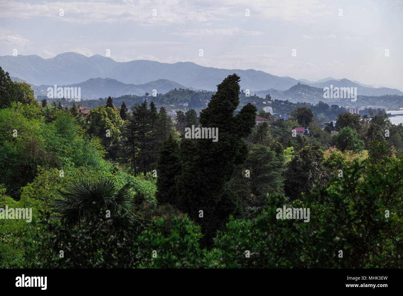Botanical park ,Batumi,Georgia Stock Photo - Alamy