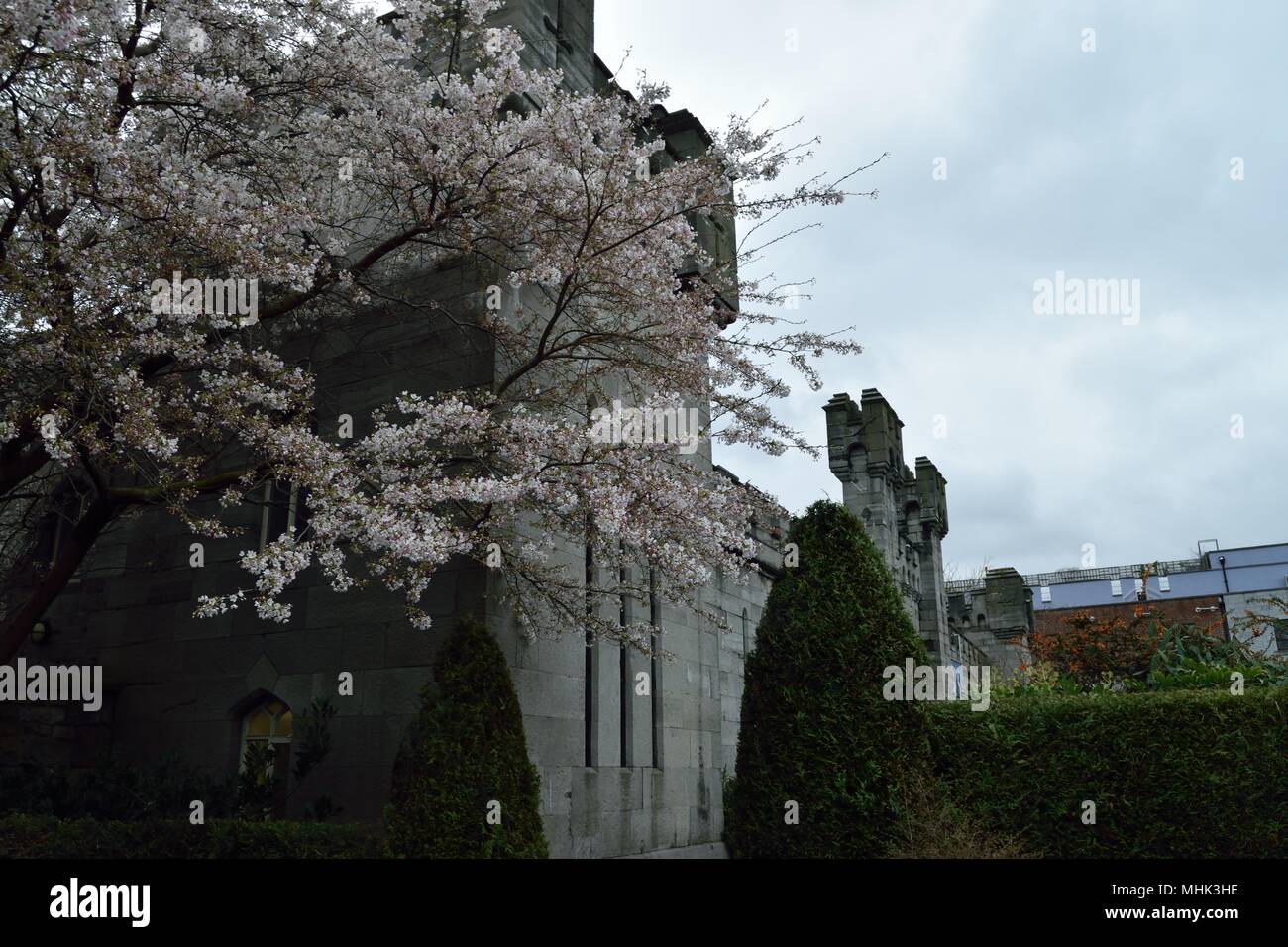 Dublin Castle and Chester Beatty Library Stock Photo - Alamy