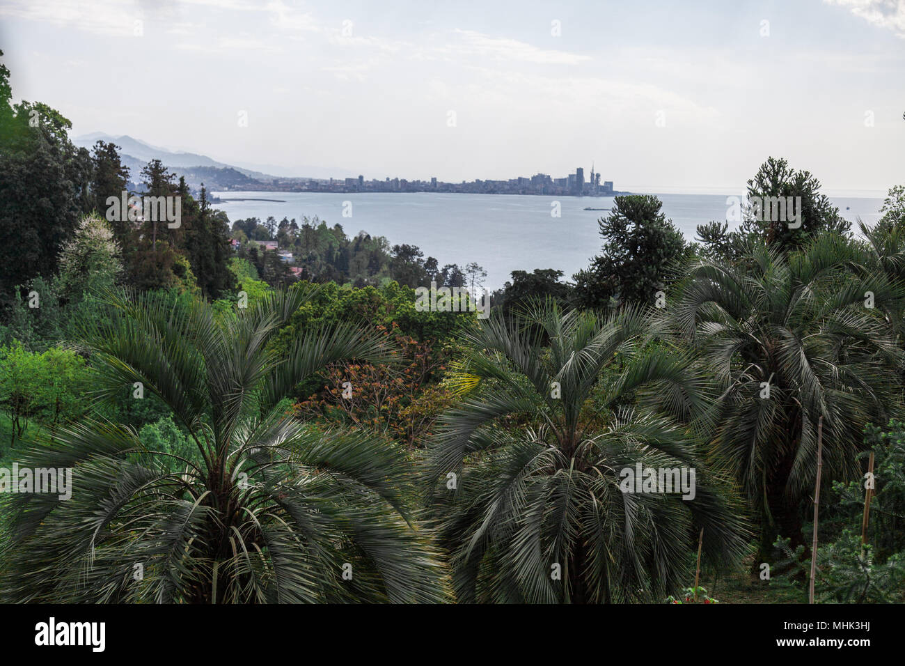 Batumi botanical garden hi-res stock photography and images - Alamy
