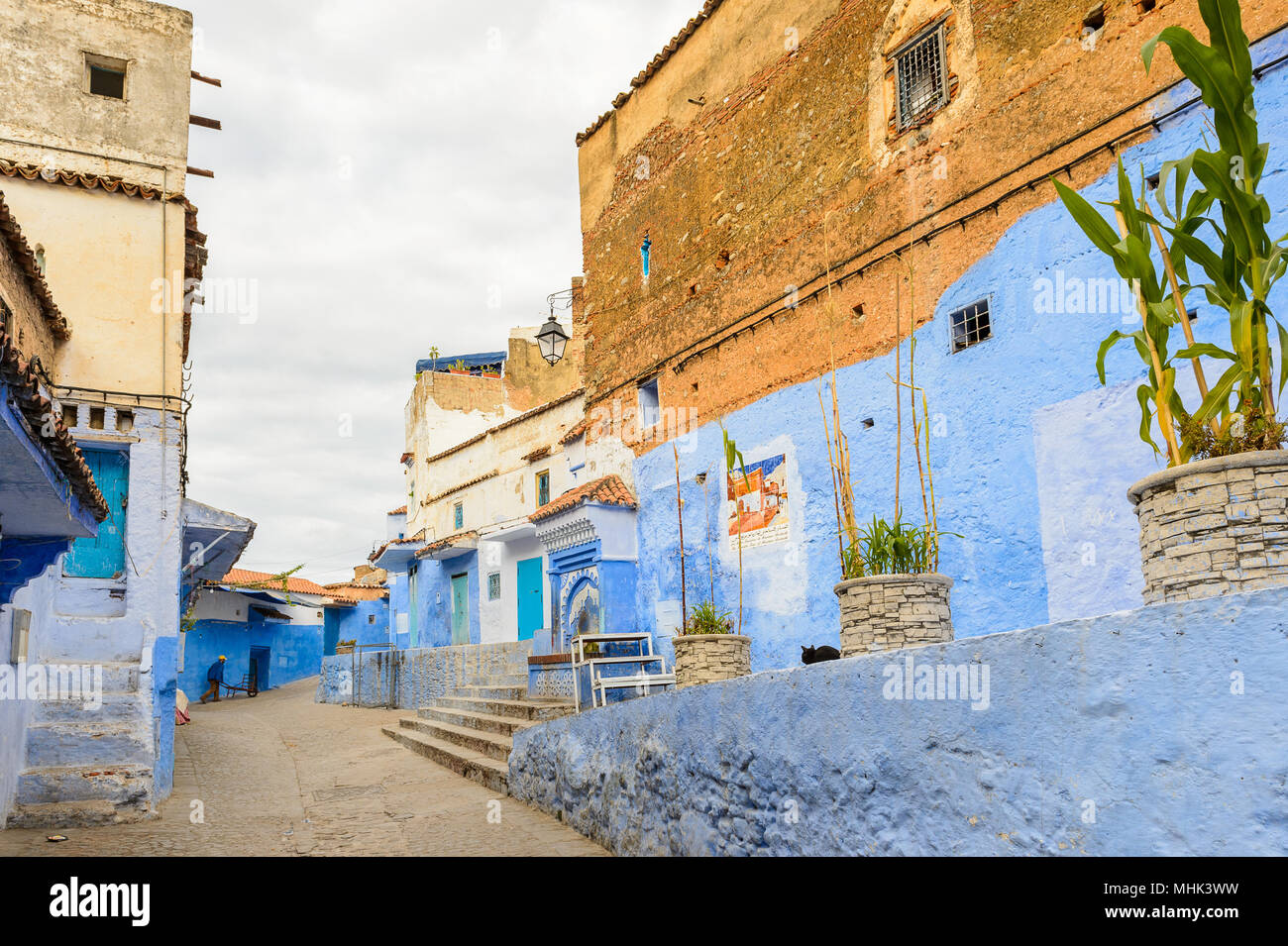 Blue walls of the houses of Chefchaouen, Morocco Stock Photo - Alamy