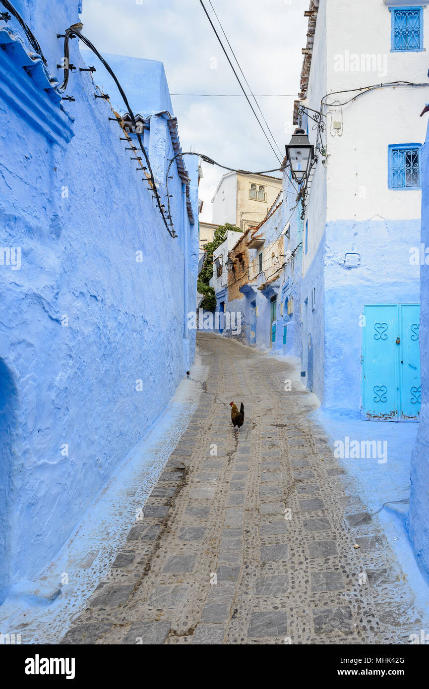 Blue walls street of Chefchaouen, Morocco Stock Photo - Alamy