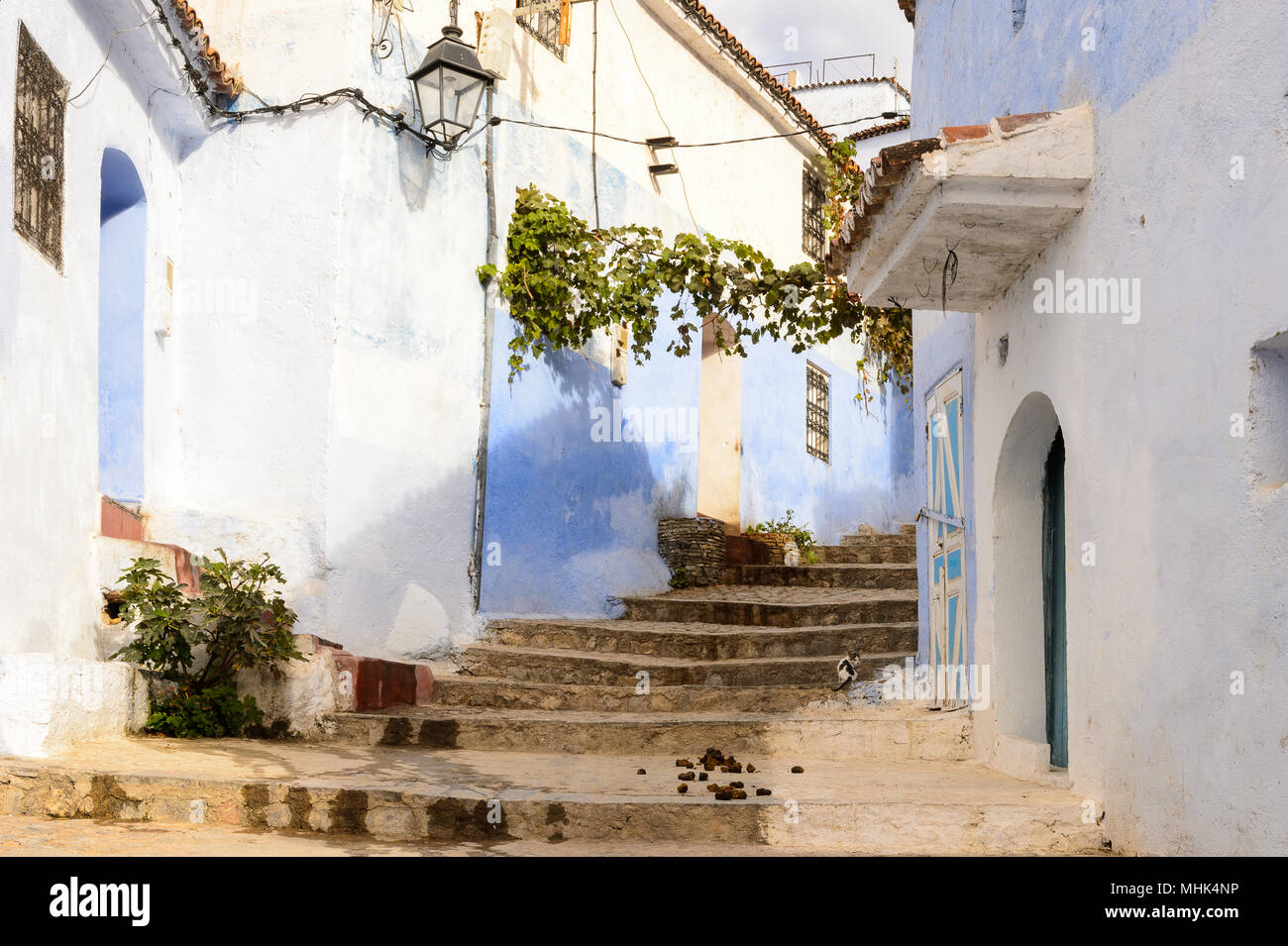 Blue painted walls of the houses in Chefchaouen, small town in ...