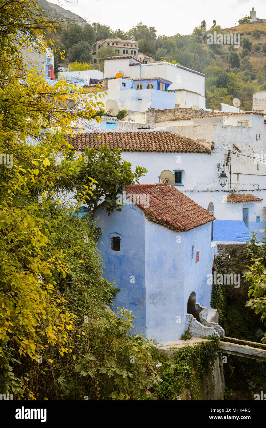 Blue painted walls of the houses in Chefchaouen, small town in ...