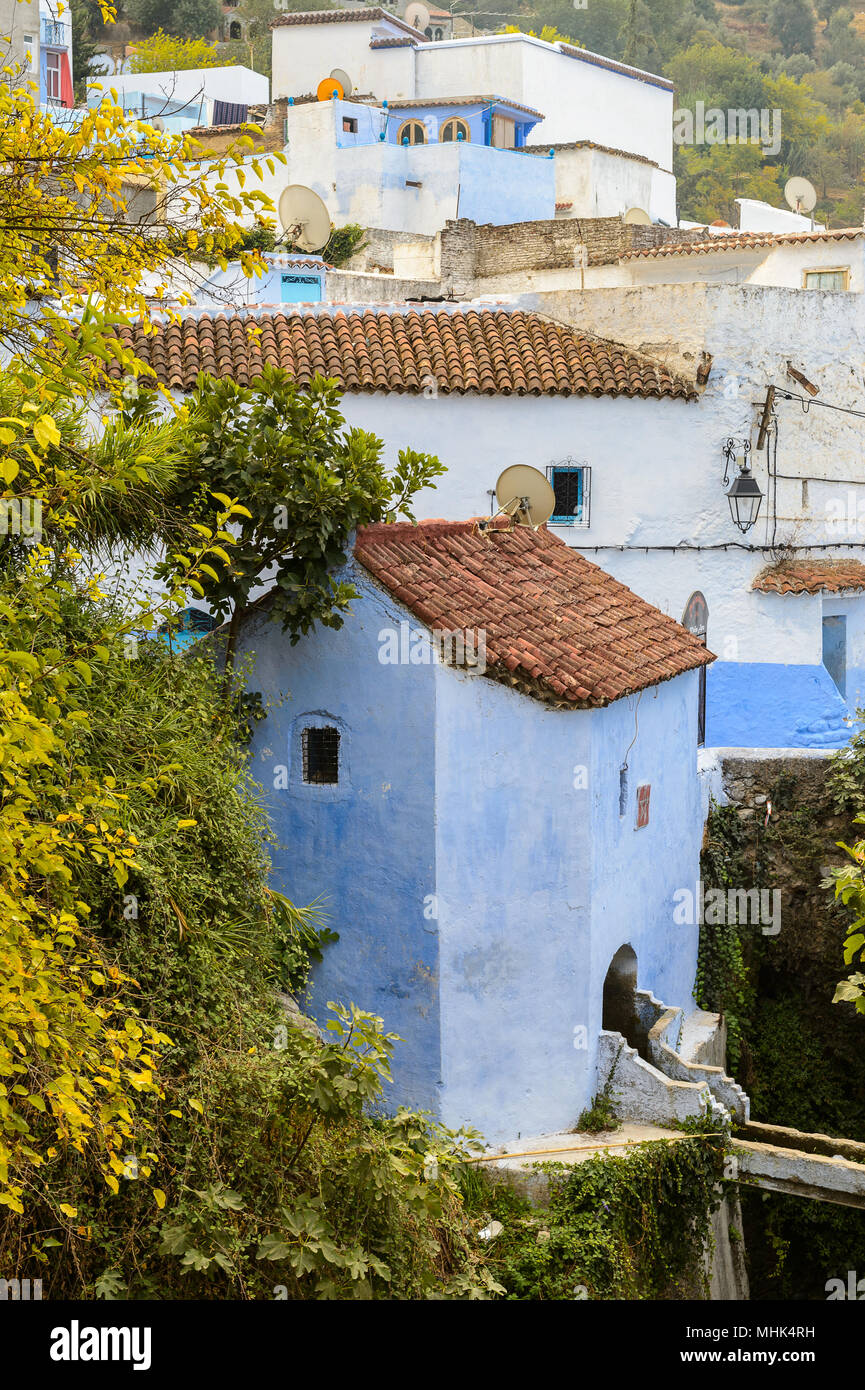 Blue painted walls of the houses in Chefchaouen, small town in ...