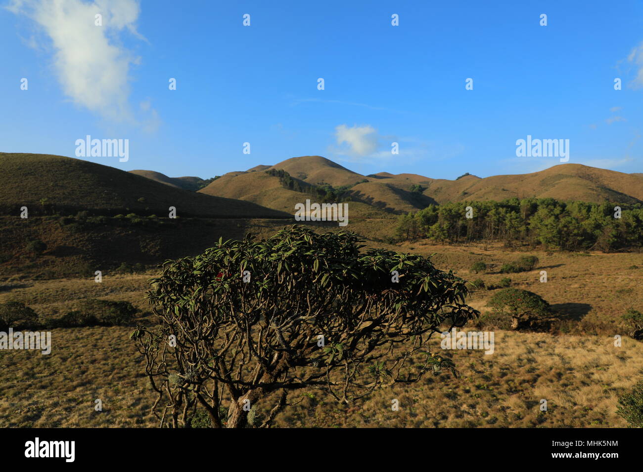 Sun shining down on land hi-res stock photography and images - Alamy