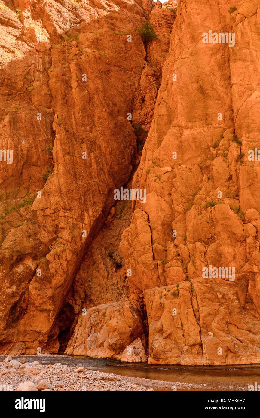 Todgha Gorge, a canyon in the High Atlas Mountains in Morocco, near the ...