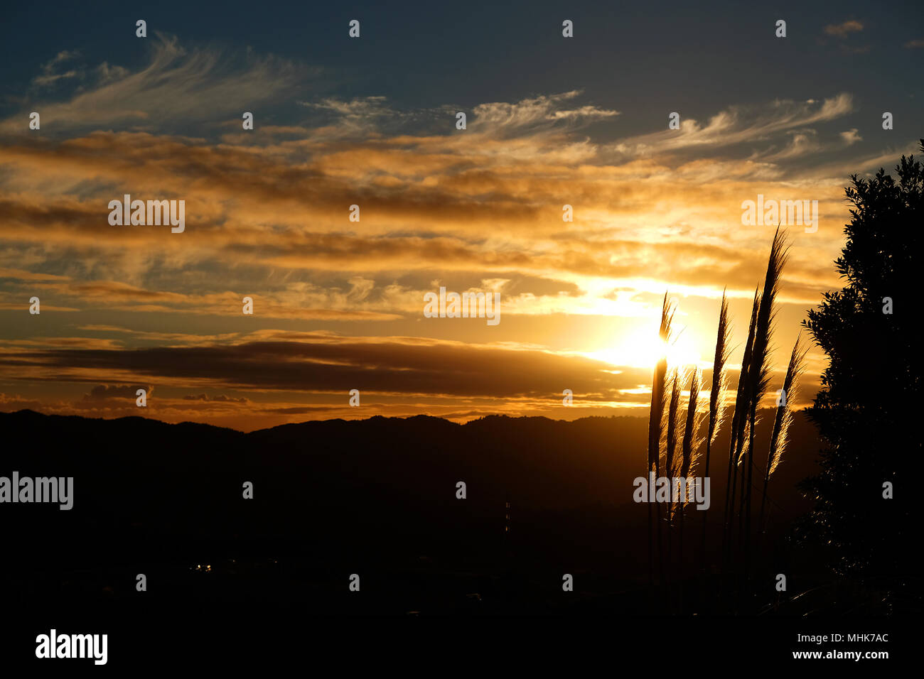 the magic moment Stock Photo - Alamy