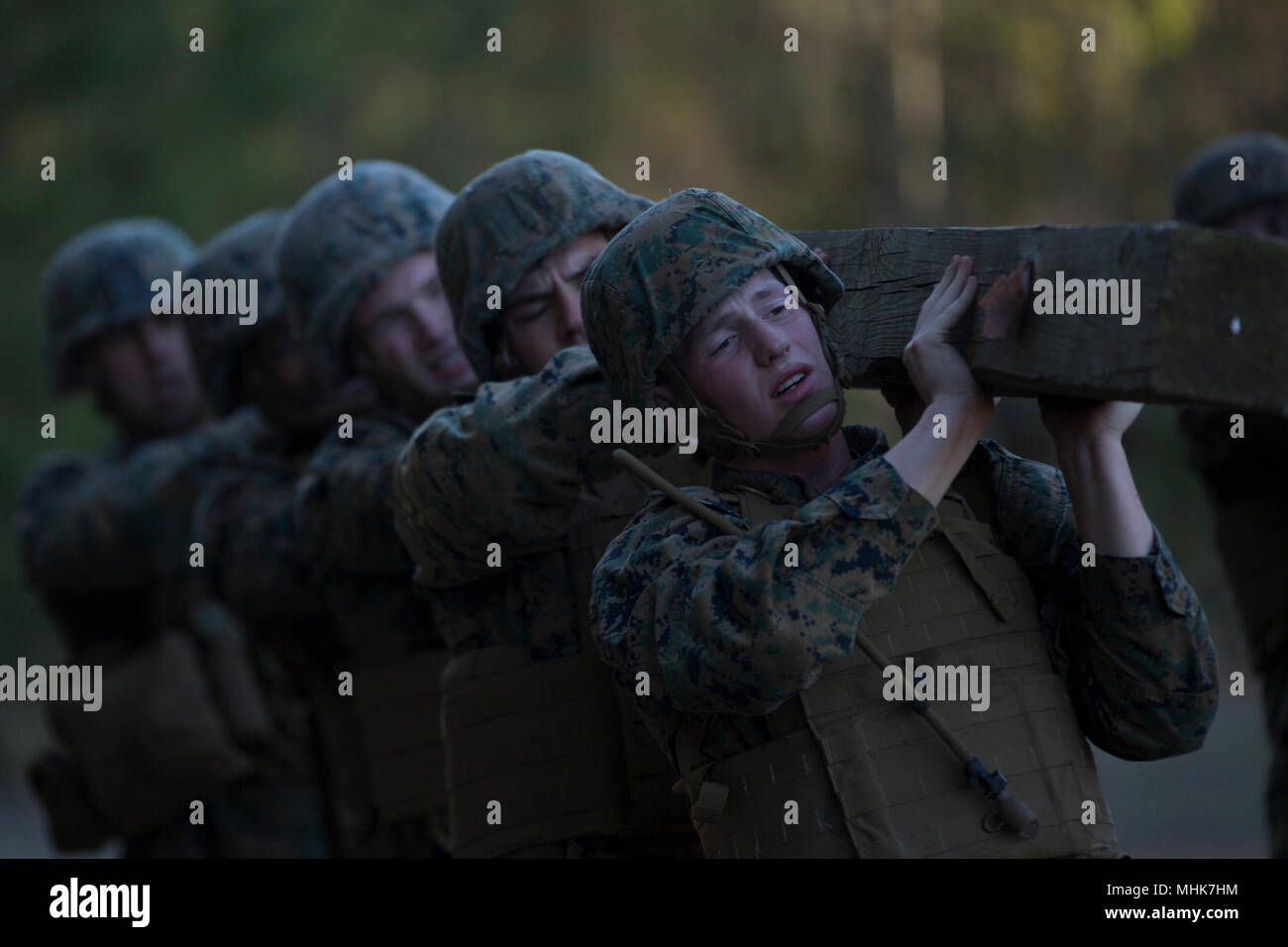 U.S. Marines with 8th Marine Regiment, 2nd Marine Division execute log ...