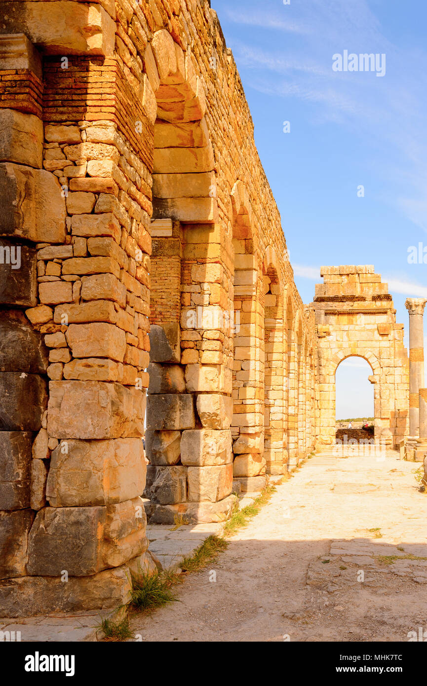 Temple of Volubilis, an excavated Berber and Roman city in Morocco ...