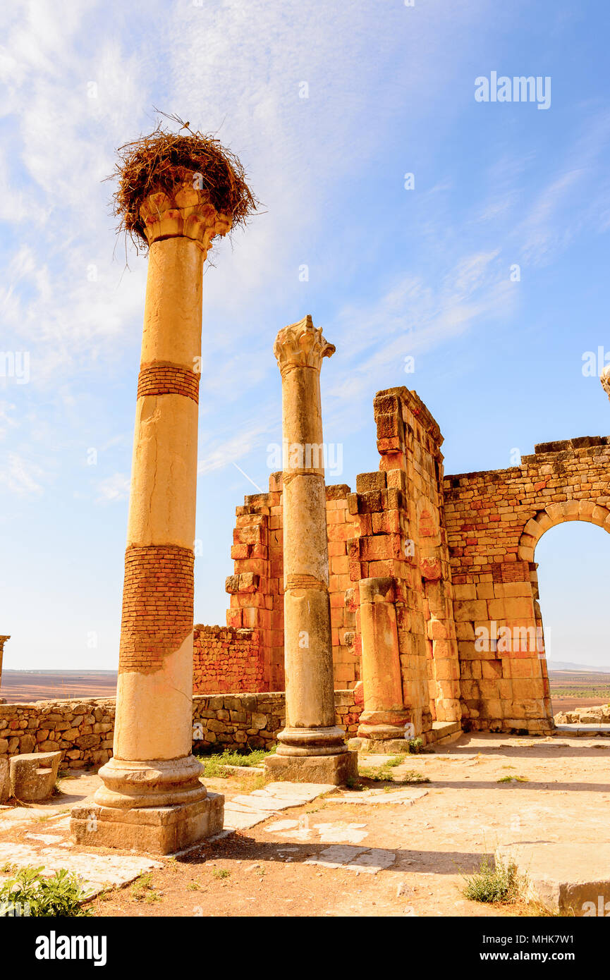 Temple of Volubilis, an excavated Berber and Roman city in Morocco ...