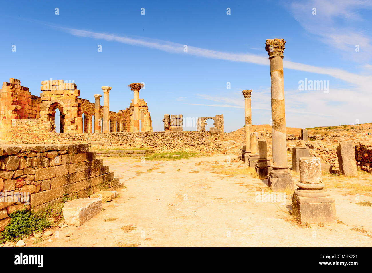 Temple of Volubilis, an excavated Berber and Roman city in Morocco ...