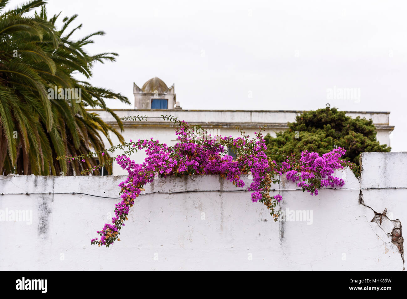 Architecture of Tangier, a major city in northern Morocco. It is the ...
