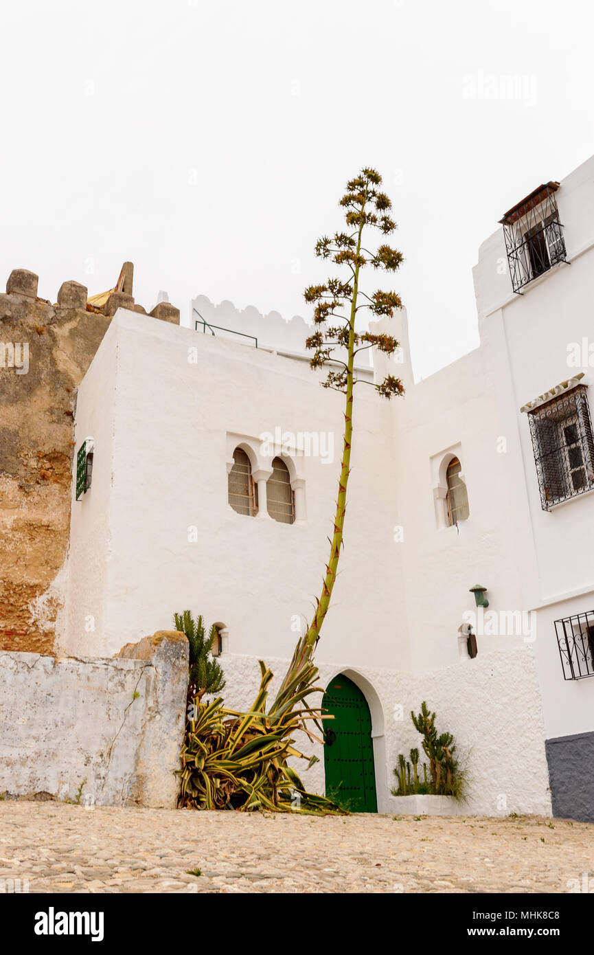 Architecture of Tangier, a major city in northern Morocco. It is the ...