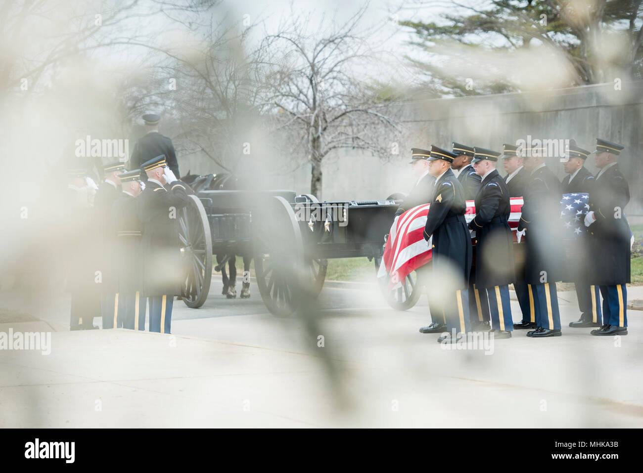The 3d U.S. Infantry Regiment (The Old Guard) Caisson Platoon and The U ...