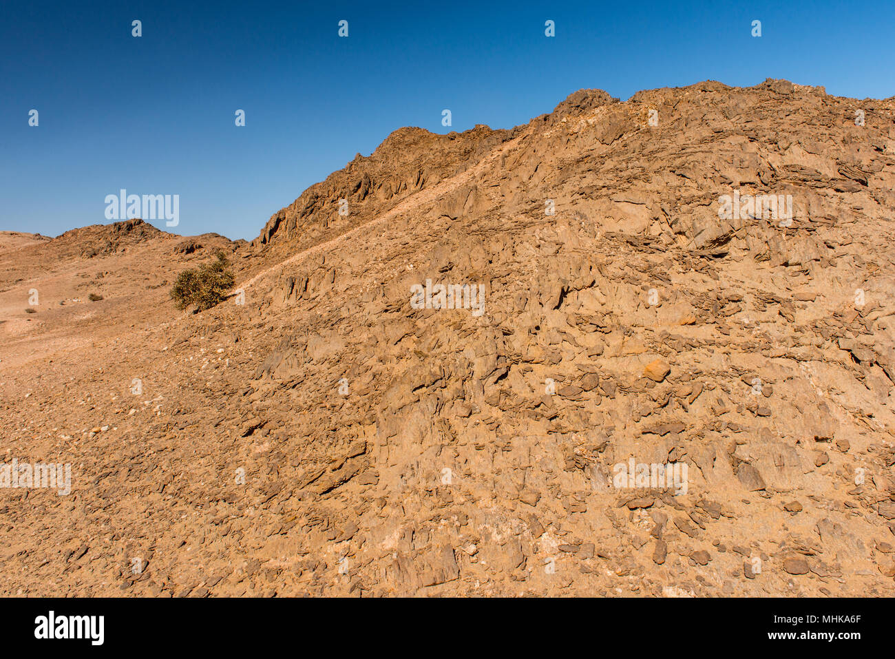 Dune in the Desert of Namibia, Africa Stock Photo - Alamy