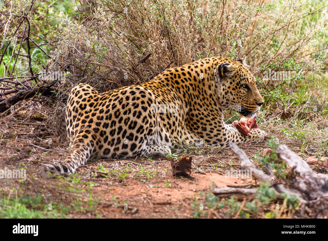Naankuse Namibia High Resolution Stock Photography and Images - Alamy