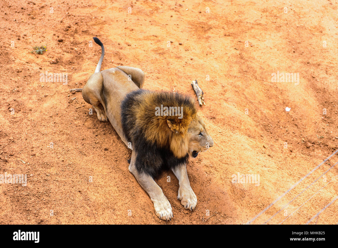 Naankuse namibia hi-res stock photography and images - Alamy