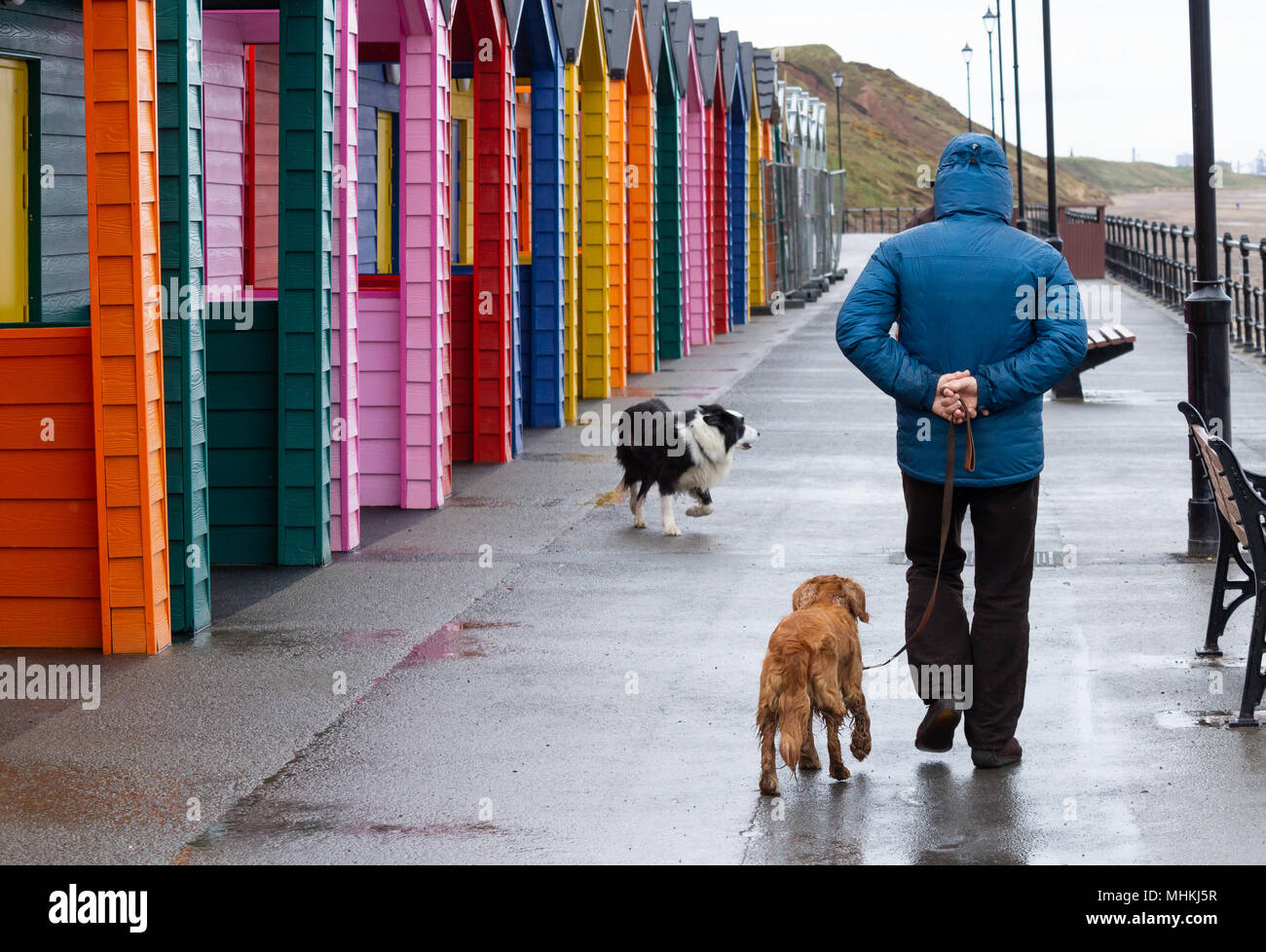 Dog wakers on beach hi-res stock photography and images - Alamy
