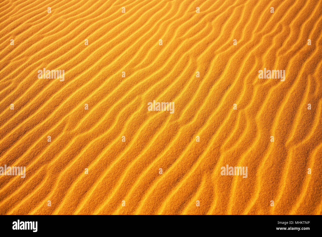 Gold desert into the sunset. Sand texture Stock Photo - Alamy