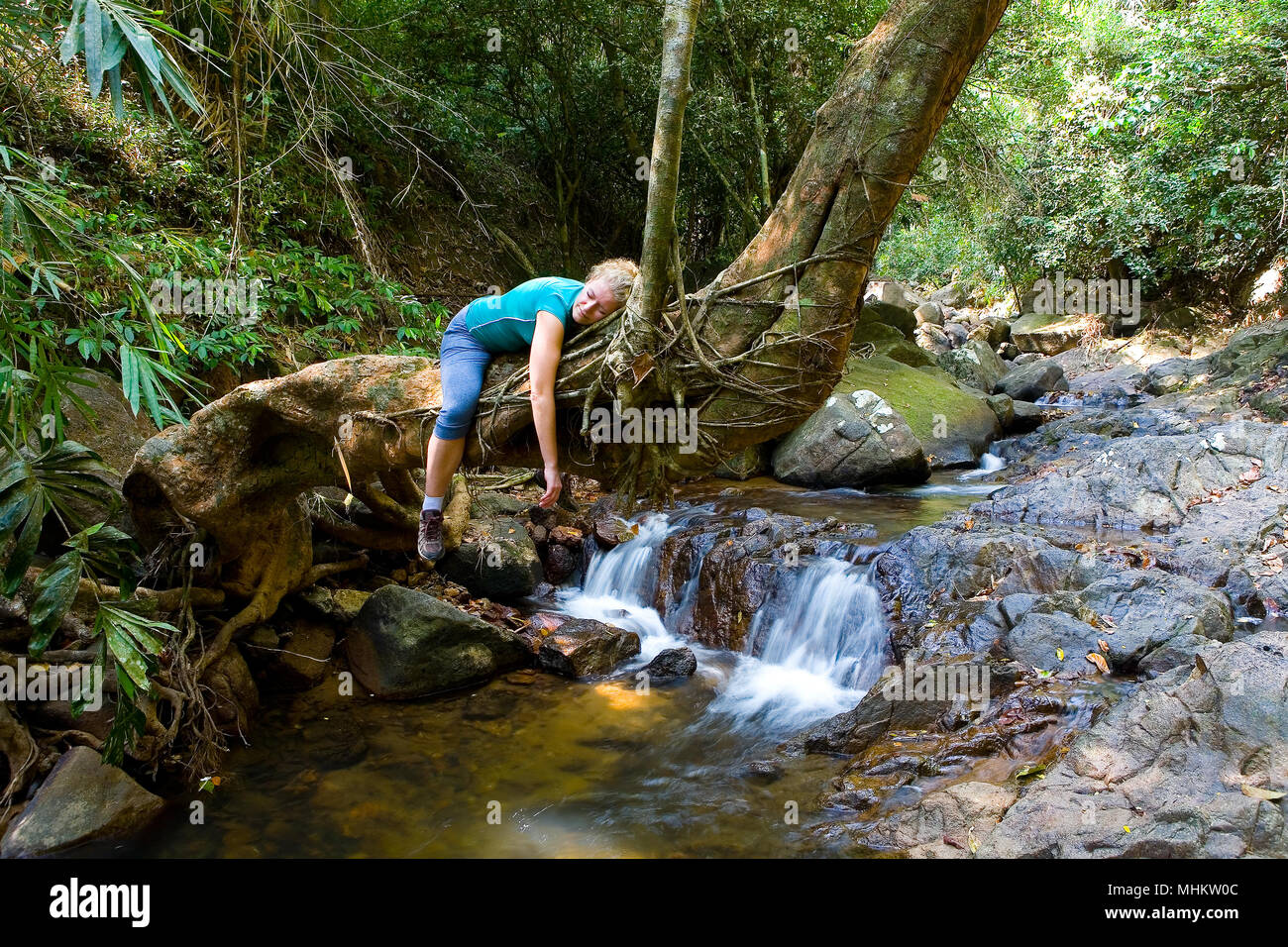 Tired woman lies on the trunk of a tree. The nature of Asia Stock Photo ...