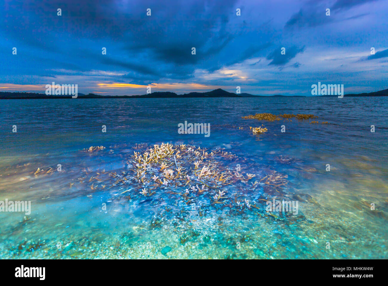 during low tide we can see a lot of coral reef around Hea island Pa Yu ...