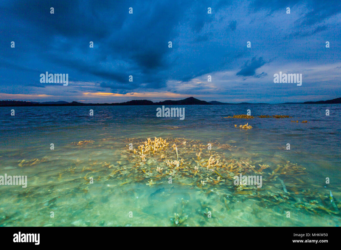 during low tide we can see a lot of coral reef around Hea island Pa Yu ...