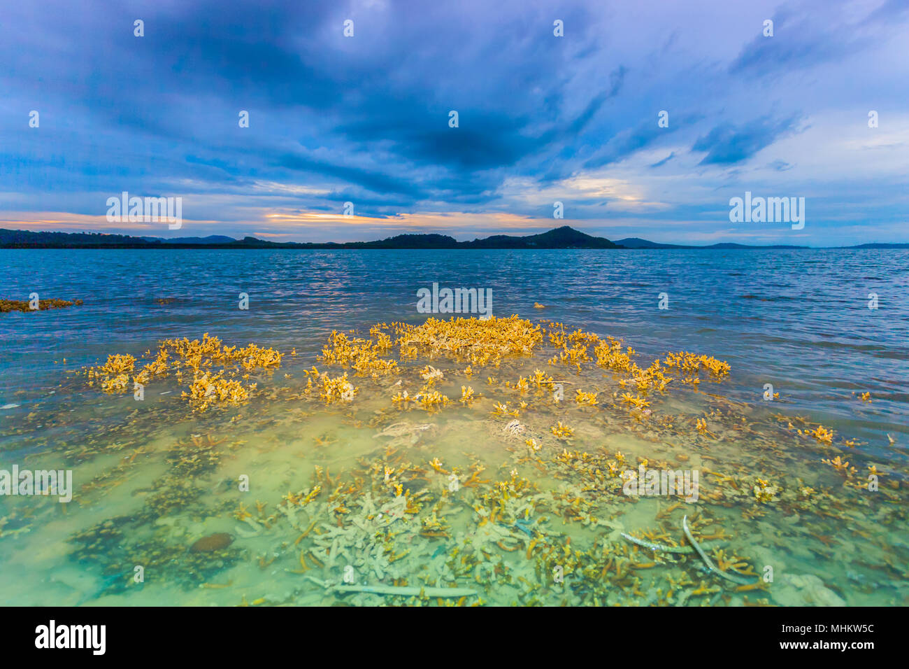 during low tide we can see a lot of coral reef around Hea island Pa Yu ...