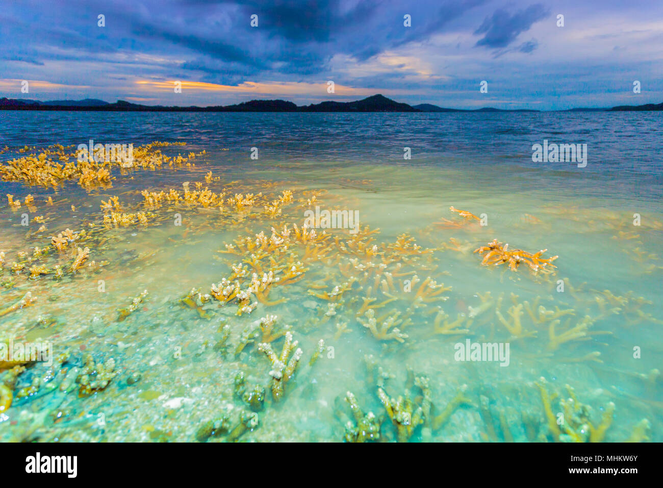 during low tide we can see a lot of coral reef around Hea island Pa Yu ...