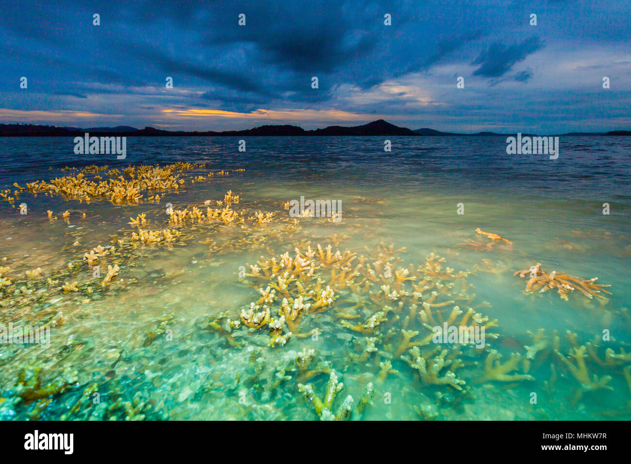 during low tide we can see a lot of coral reef around Hea island Pa Yu ...