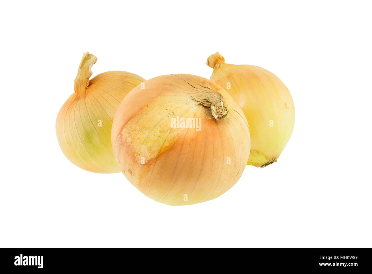 Onion isolated on white background Stock Photo - Alamy