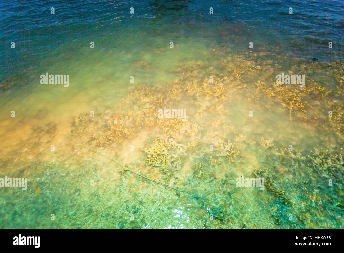 during low tide we can see a lot of coral reef around Hea island Pa Yu ...