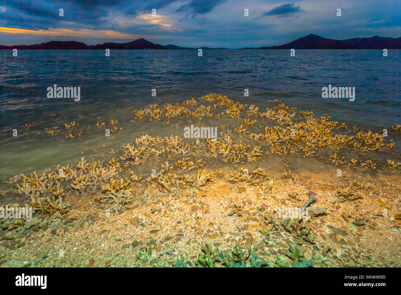 during low tide we can see a lot of coral reef around Hea island Pa Yu ...