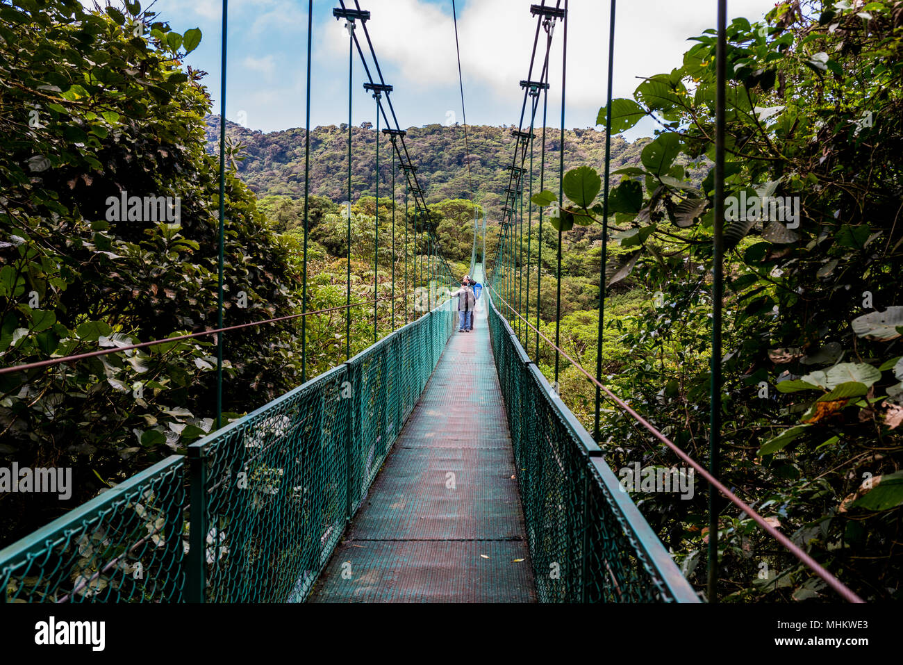 Hanging Bridges in Cloudforest - Monteverde, Costa Rica Stock Photo - Alamy