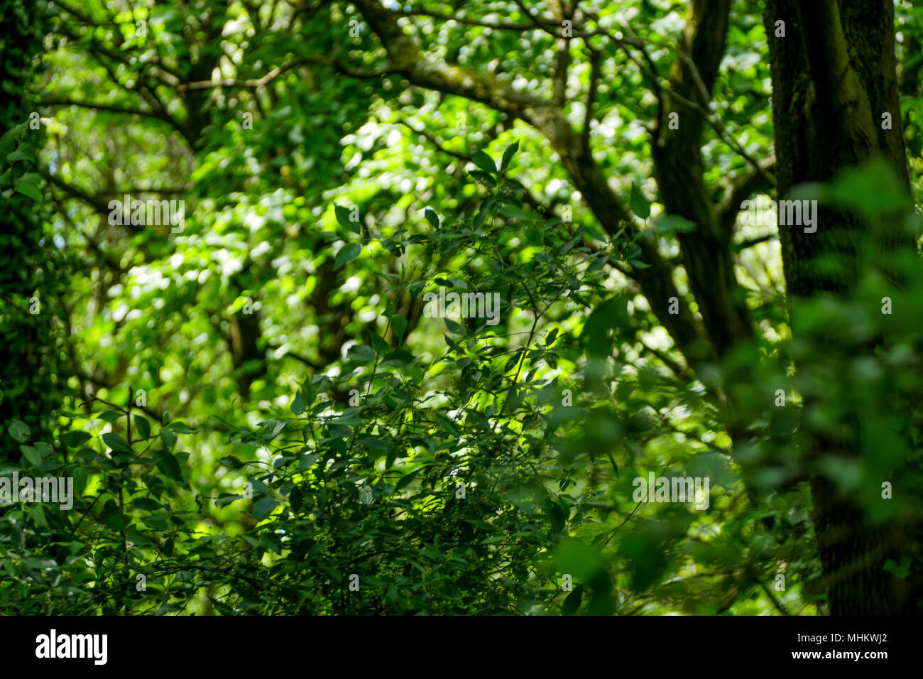 Livron sur drome hi-res stock photography and images - Alamy