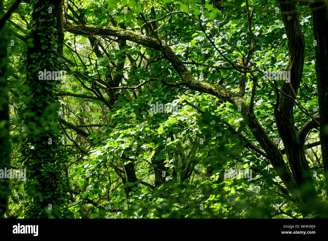 Livron sur drôme hi-res stock photography and images - Alamy