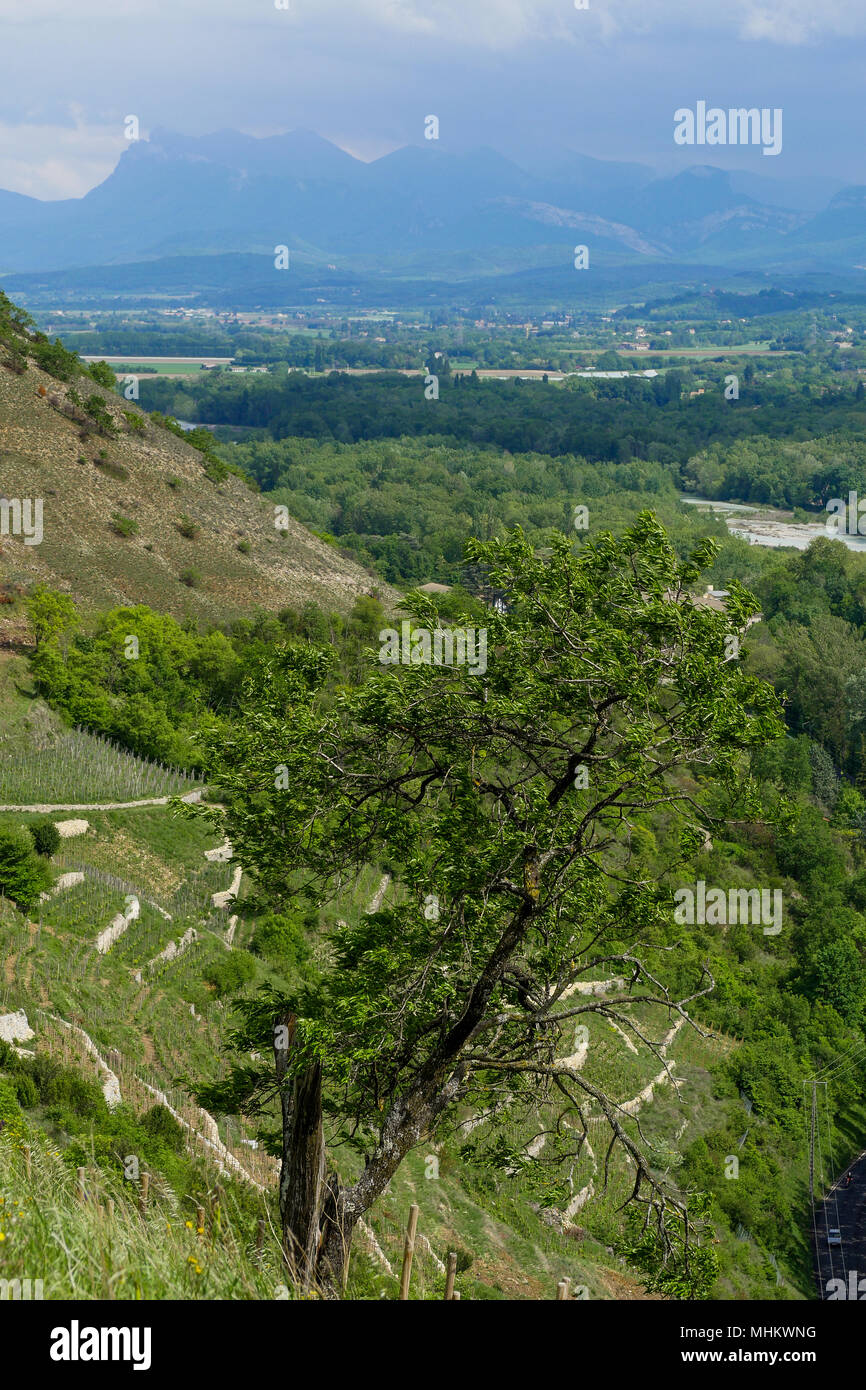 Country landscape, Livron-sur-Drôme, Drôme, France Stock Photo - Alamy