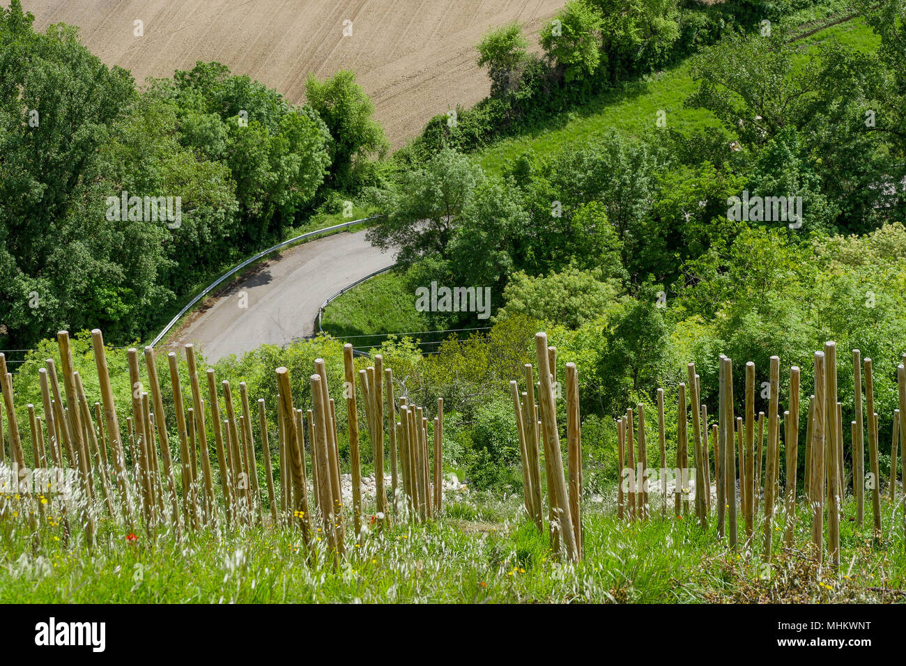 Country landscape, Livron-sur-Drôme, Drôme, France Stock Photo - Alamy