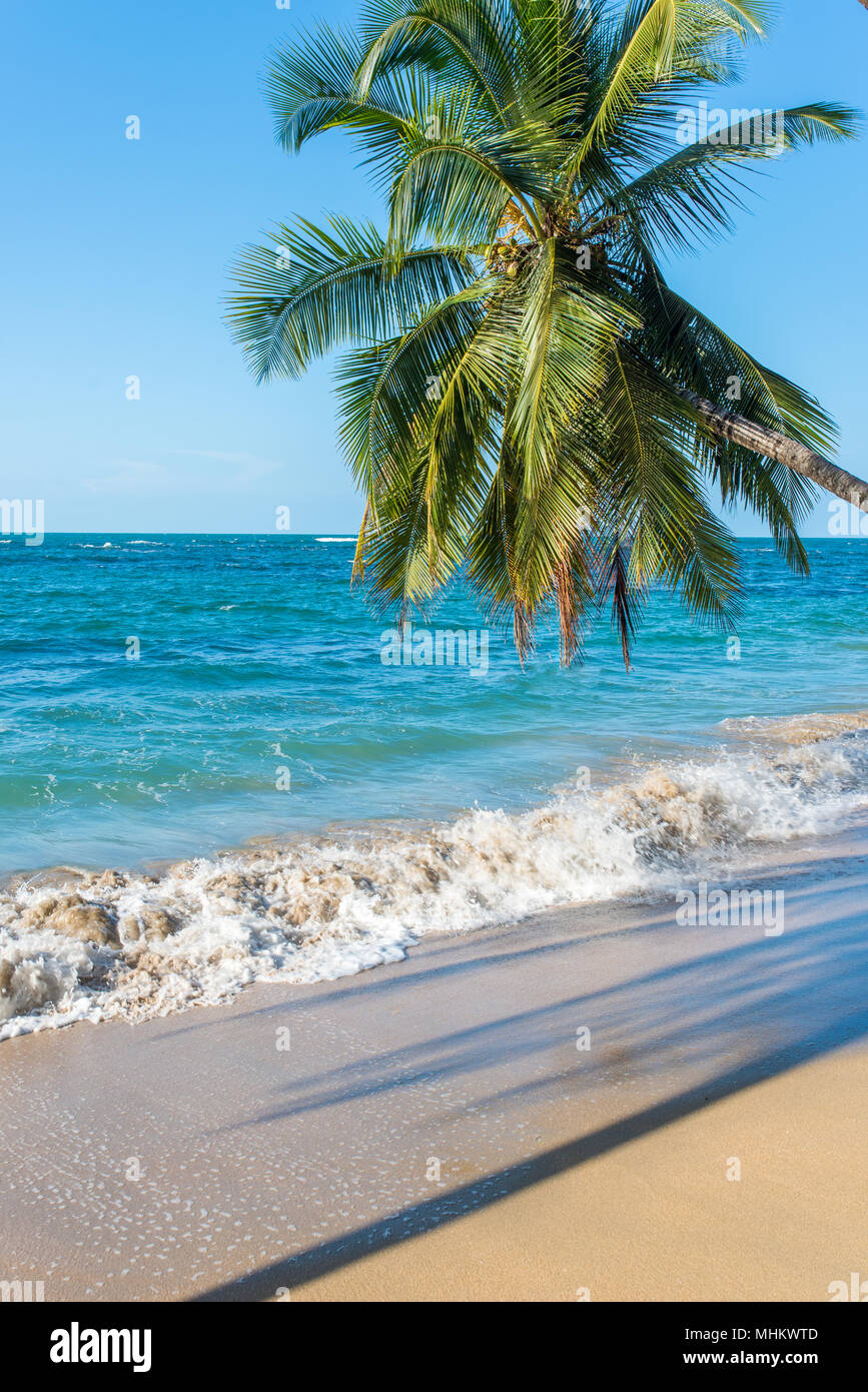 Playa punta uva beach hi-res stock photography and images - Alamy