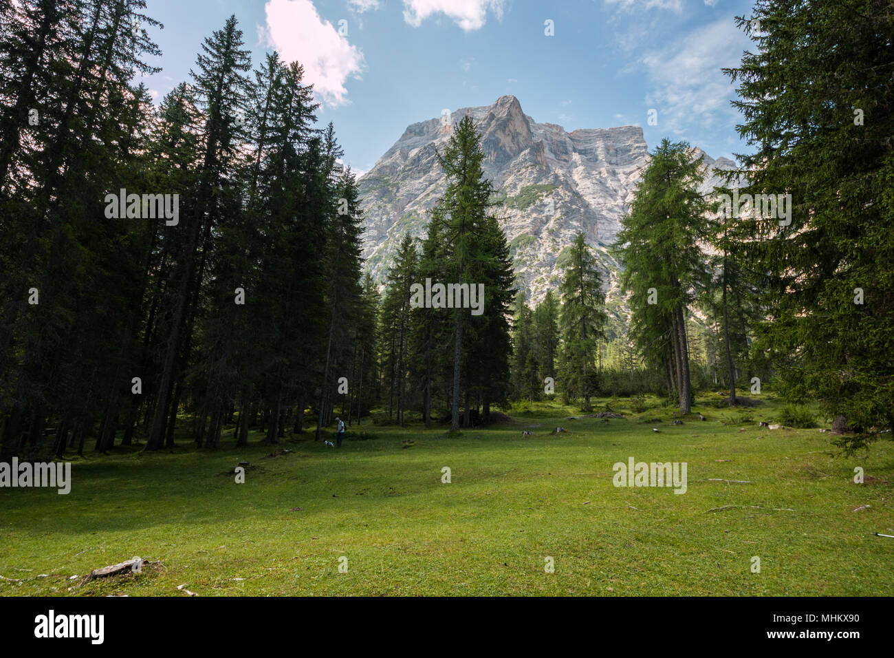 Braies valley, Pragsertal , Braies, Prags , Bolzano , Trentino Alto ...